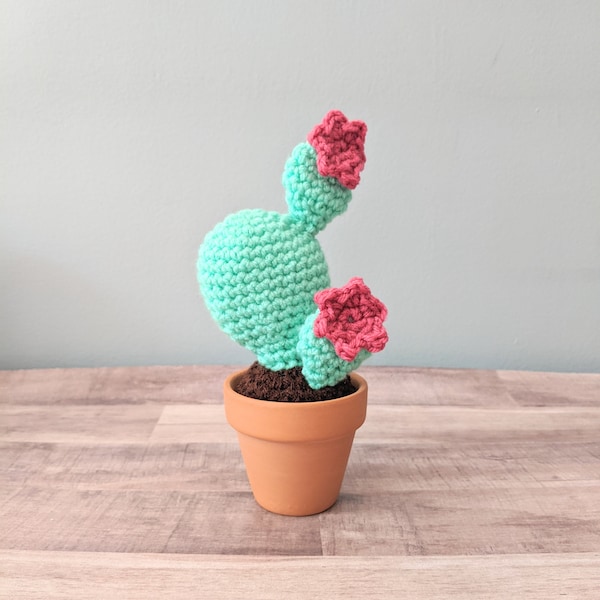 Cactus Theme Room - Etsy