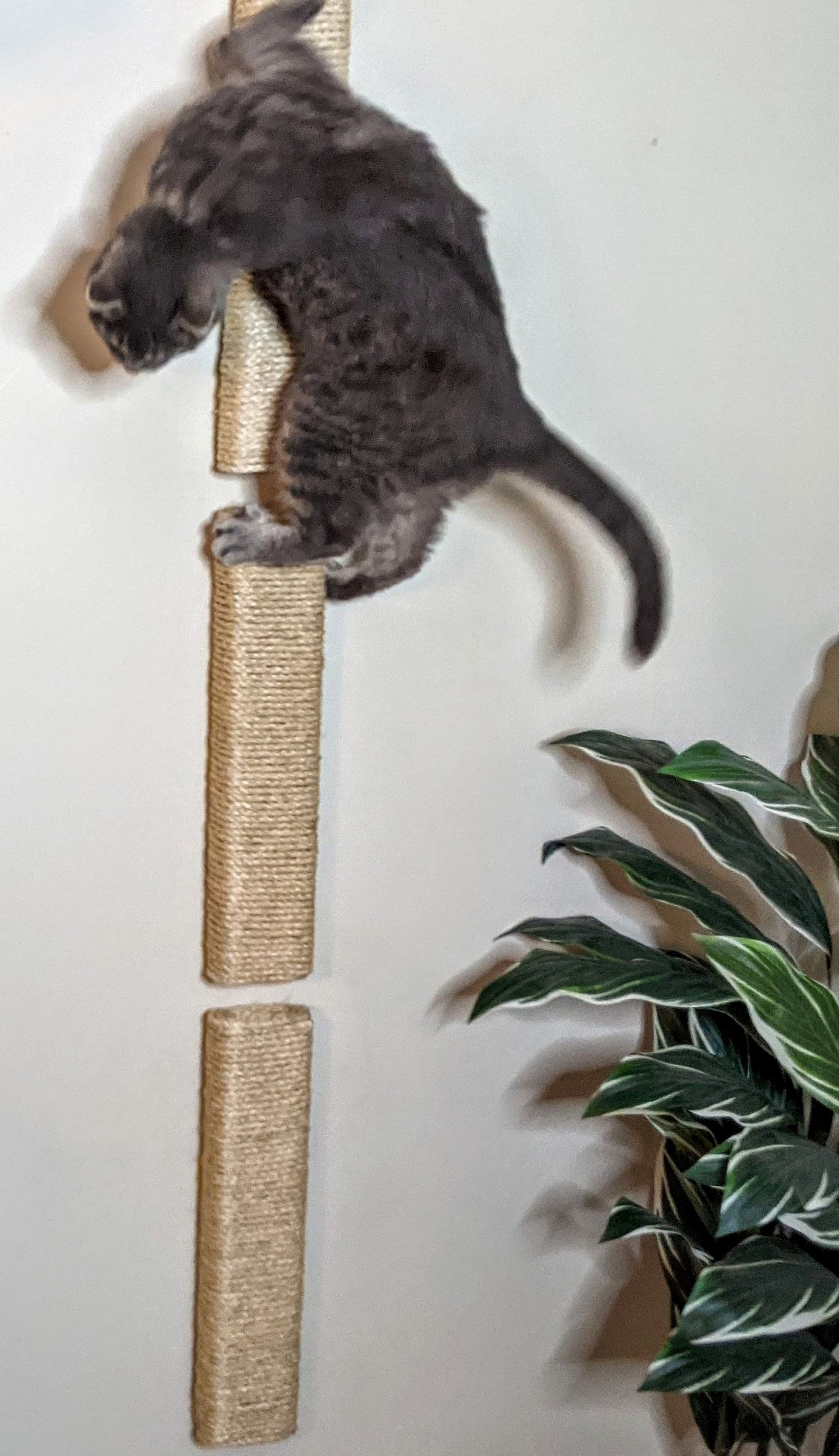 Cat Scratching Post / Vertical Scratchers / Cat Furniture Wall Mounted ...