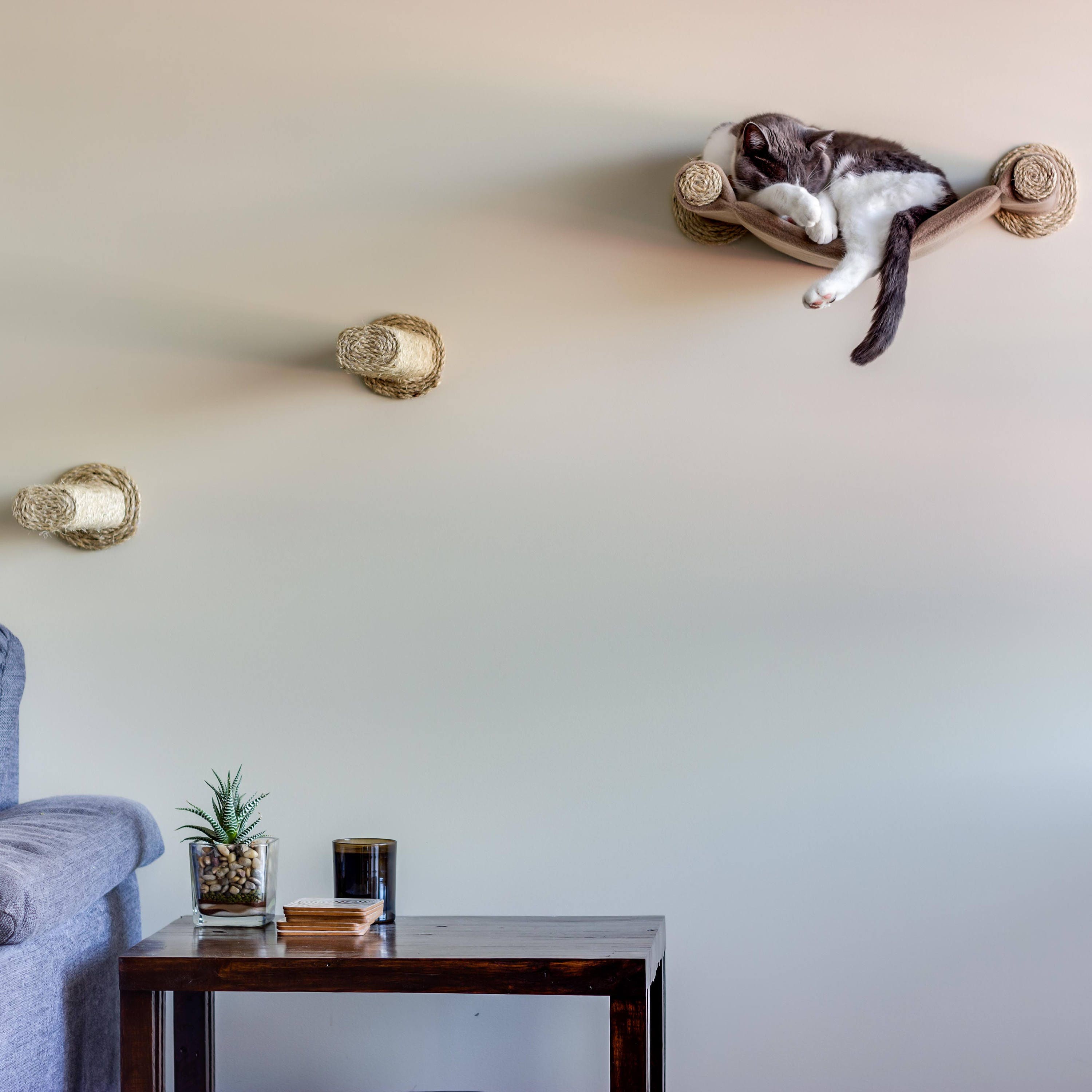 Cat Bed Cat Post Cat Climbing Steps Cat Hammock Cat - Etsy Canada