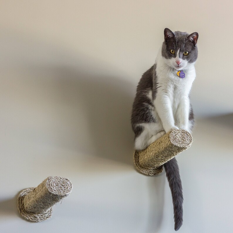 Cat Stairs / Wall-Mounted Cat Steps/ Cat Furniture / Cat | Etsy