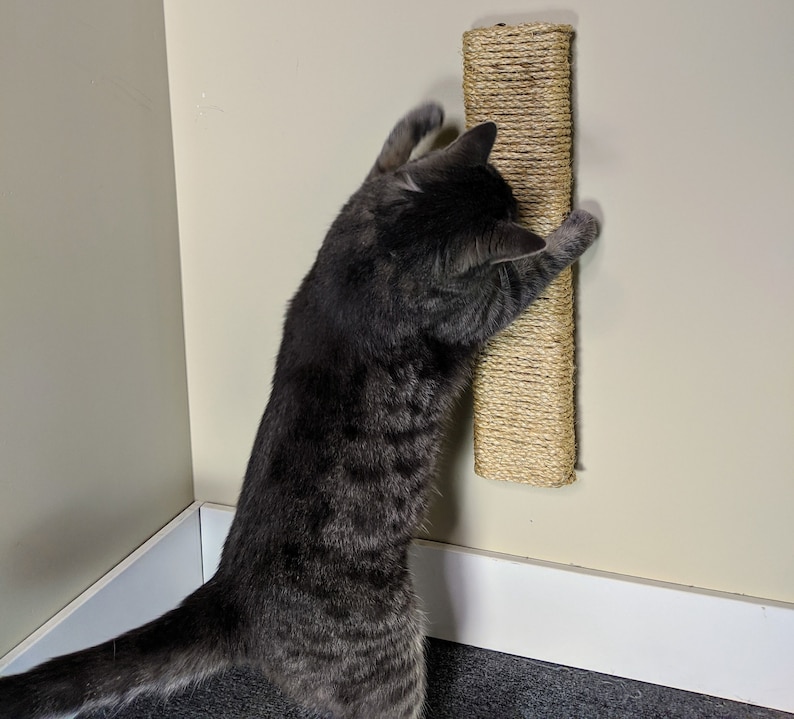 Cat Scratching Post Wall Mounted Cat Furniture Sisal Cat - Etsy
