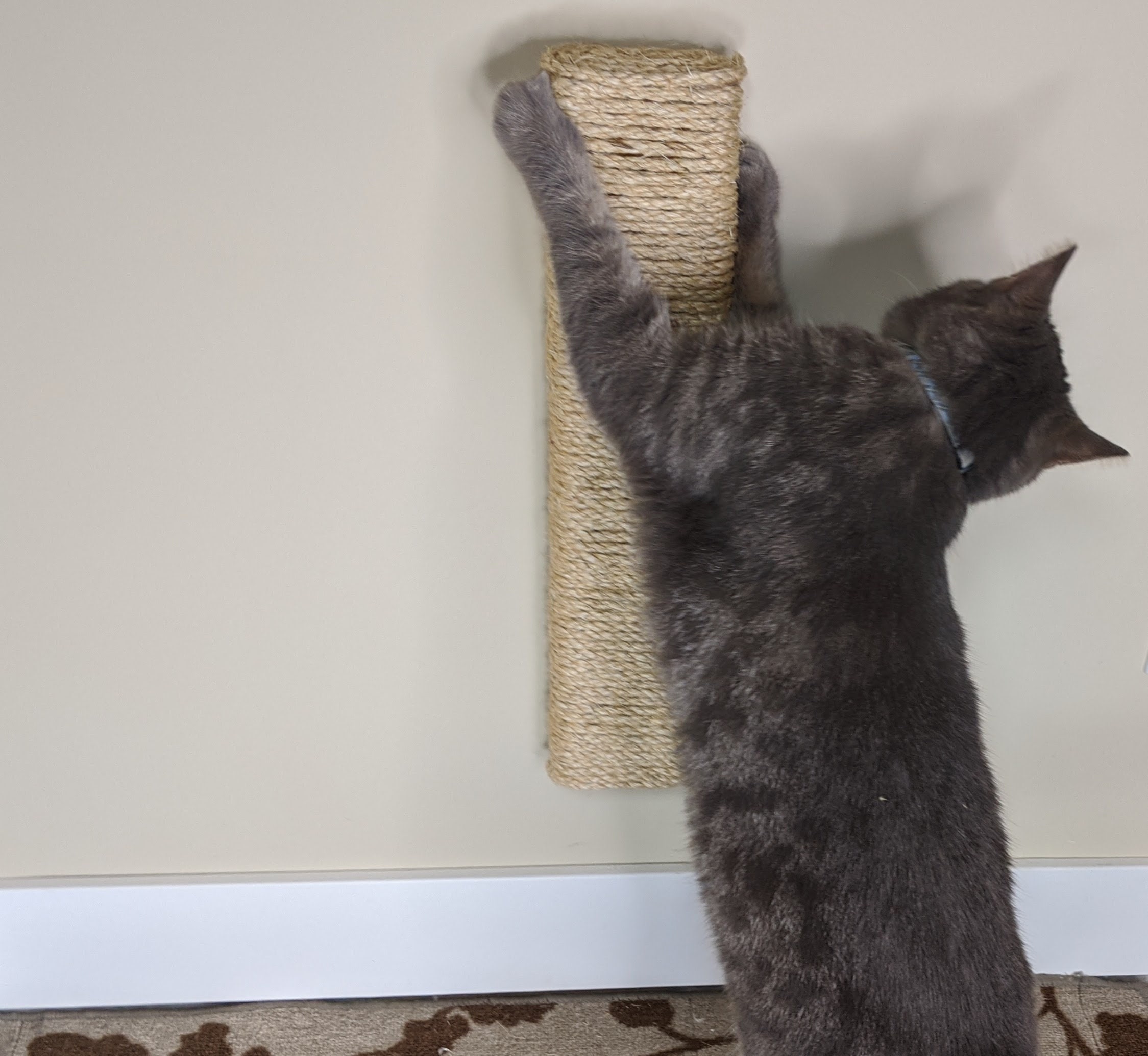 Cat Scratching Post / Cat Furniture Wall Mounted / Cat Climber - Etsy