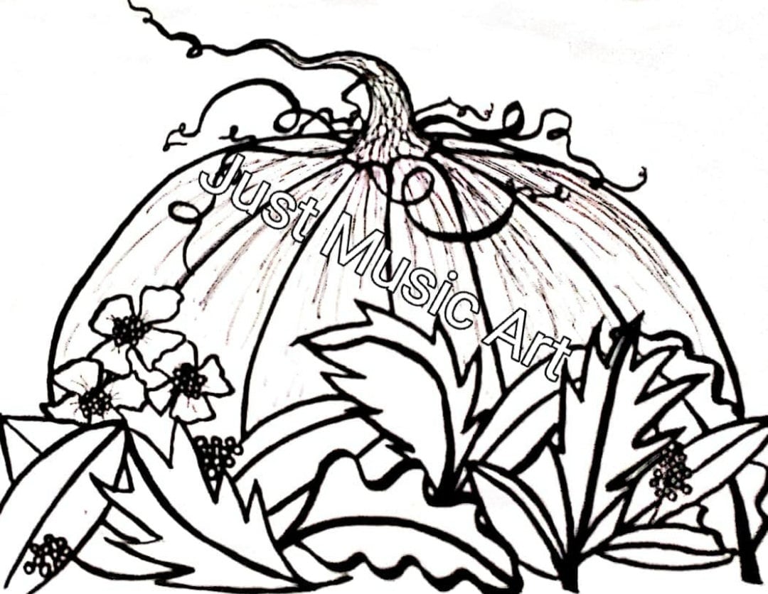 Thanksgiving Pumpkin Coloring Page Printable Download - Etsy UK