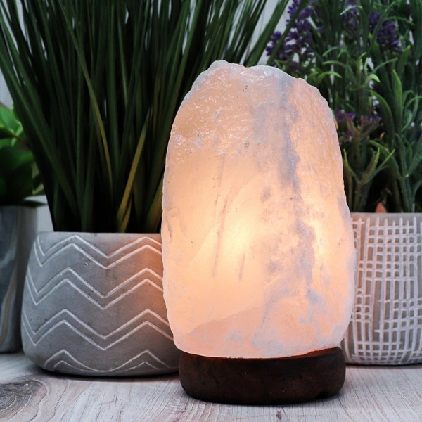 Himalayan Salt Lamp - Etsy