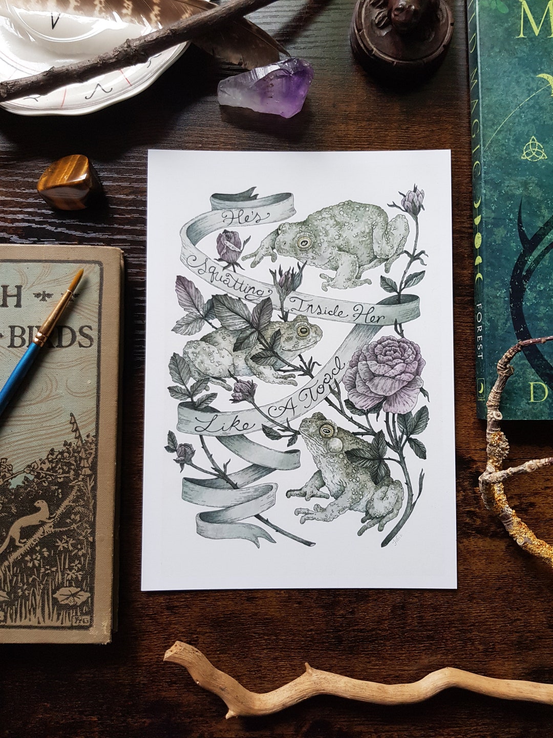 Squatting Toads Practical Magic Inspired Watercolour Illustration ...
