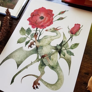 Rose Dragon Watercolour Illustration Giclée Print - Etsy