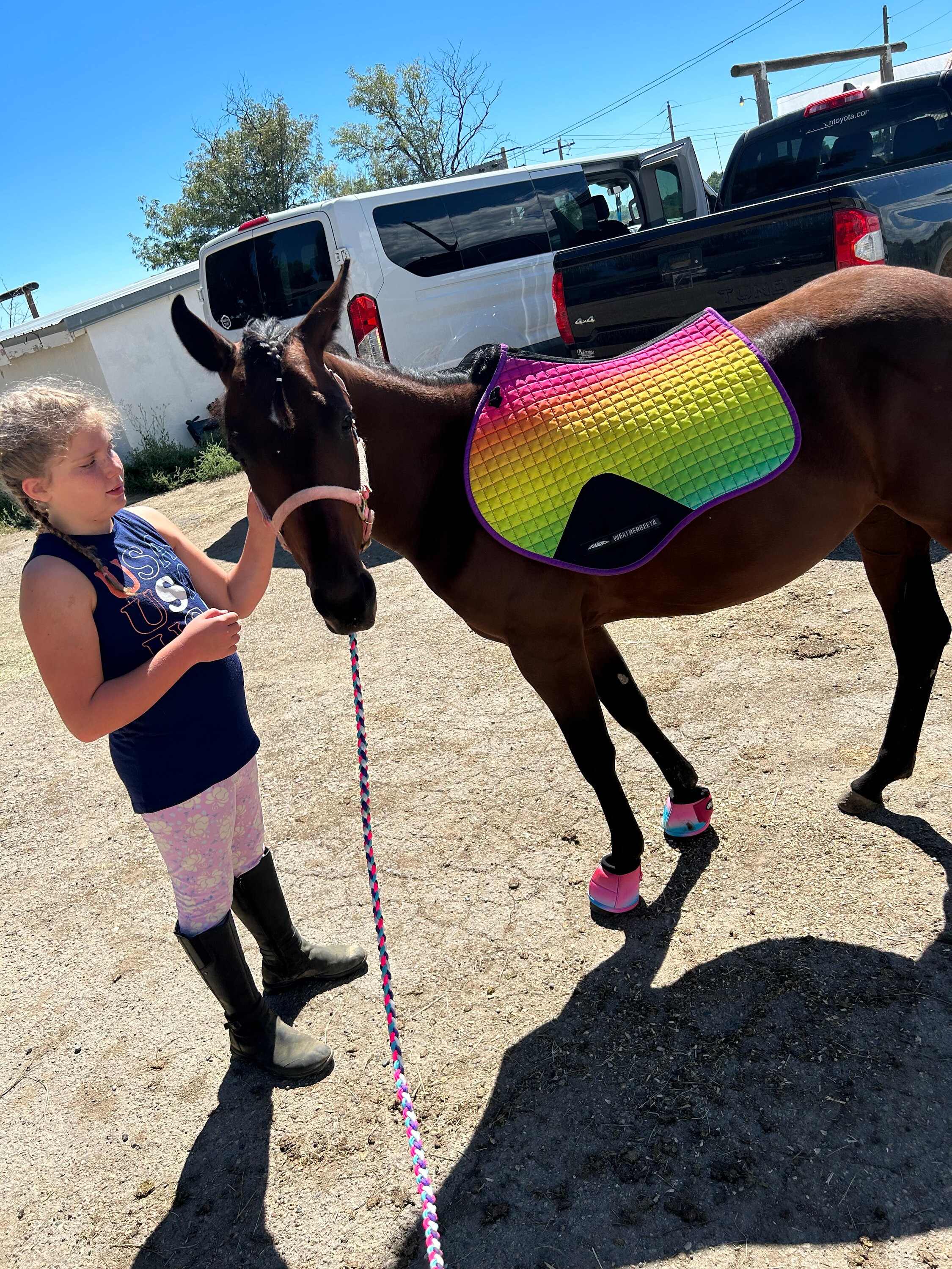 Custom Horse Lunge Lines - Etsy