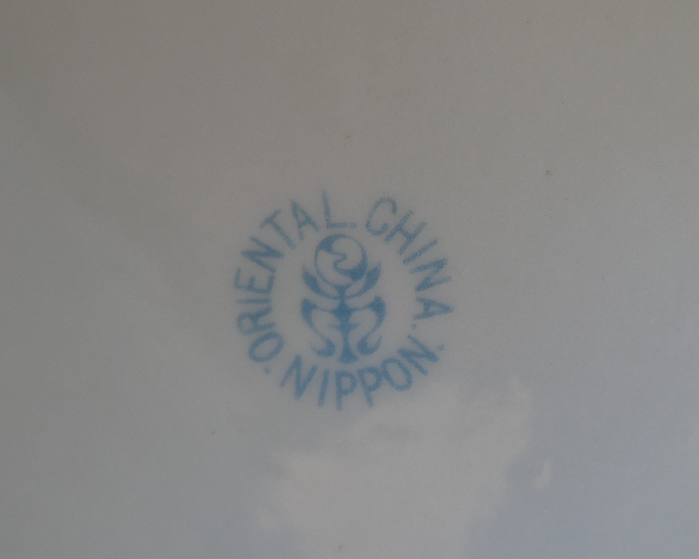 Antique Oriental China NIPPON Hand Painted Asters Flowers - Etsy