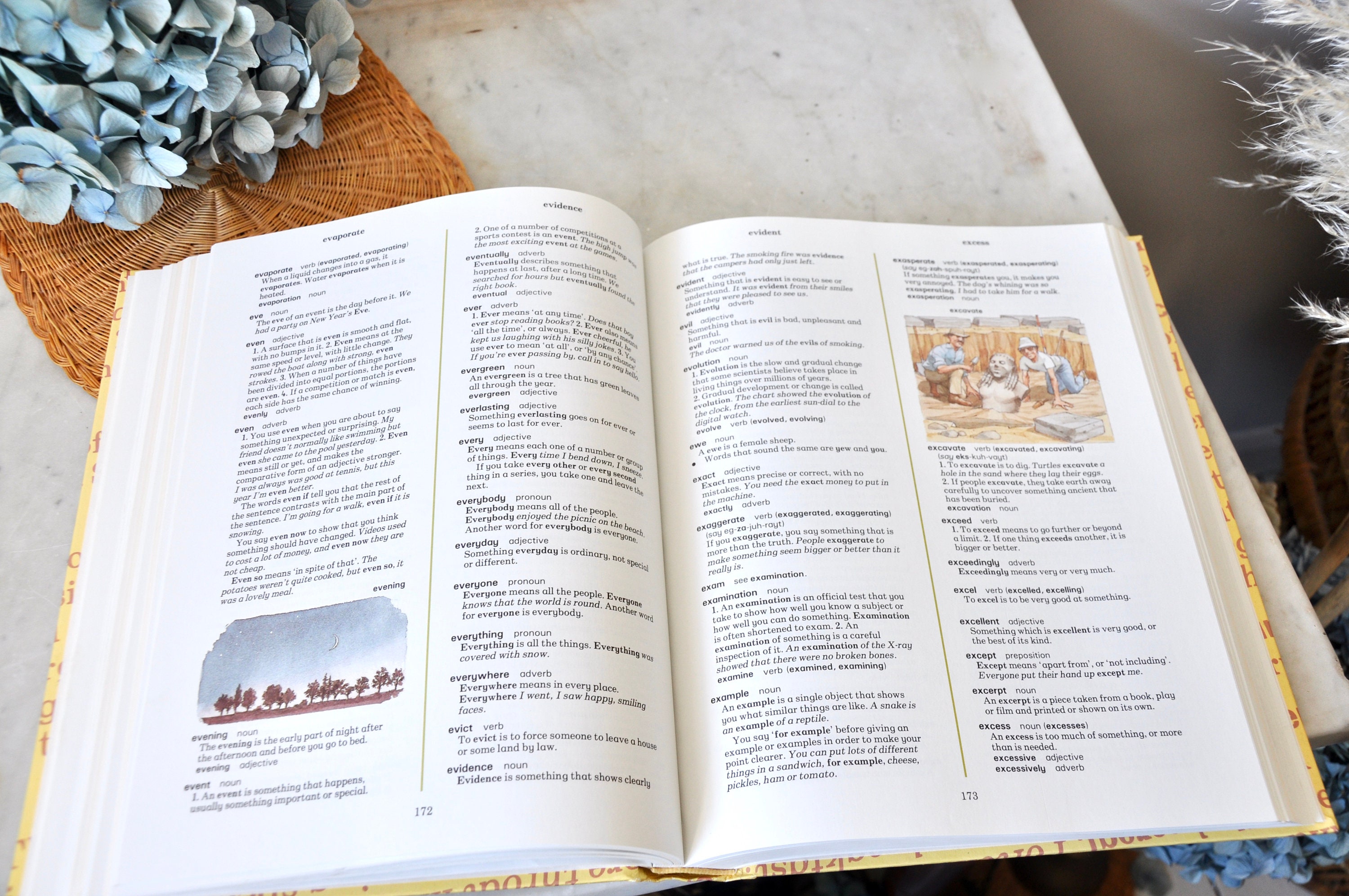 Vintage Childcraft Children's Illustrated Dictionary - Etsy