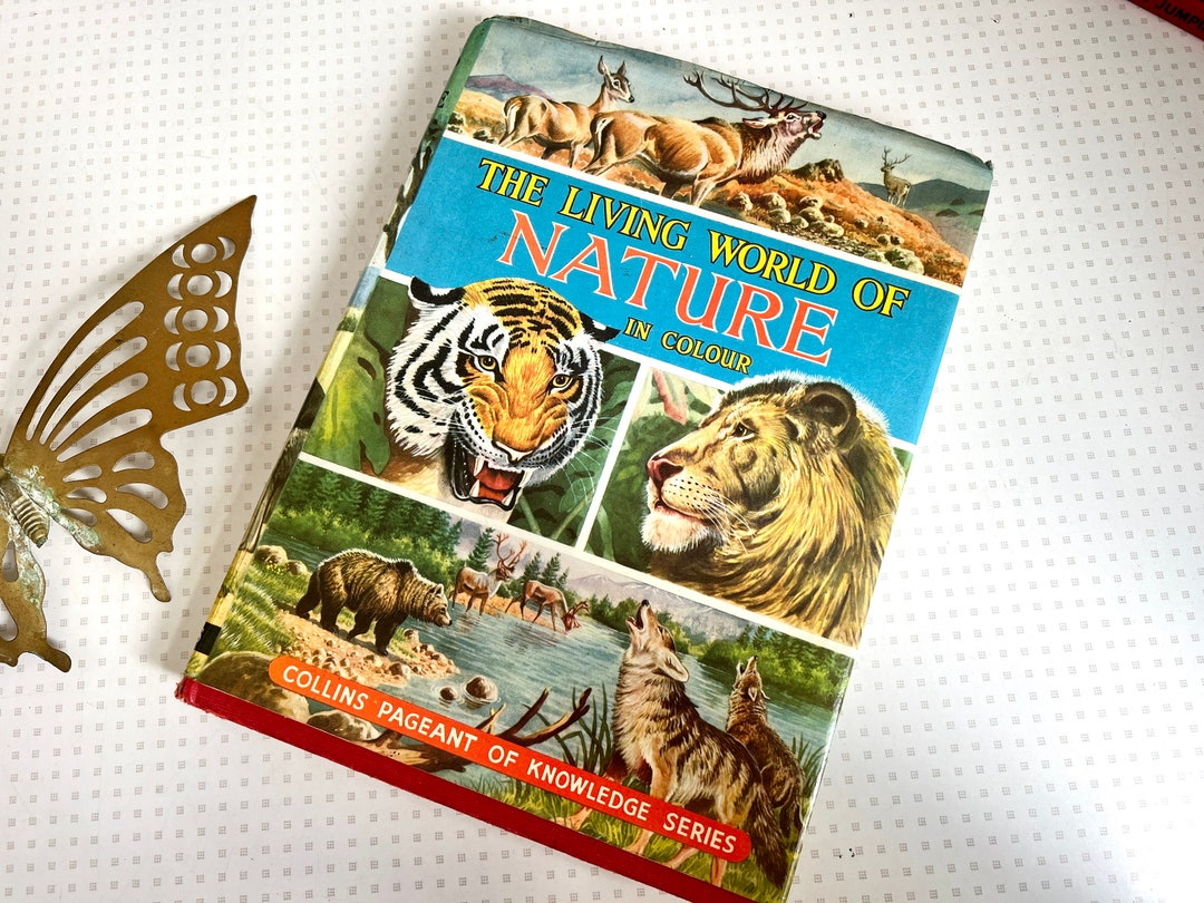 Vintage Collin's Living World of Nature in Colour Nature Animal Book ...