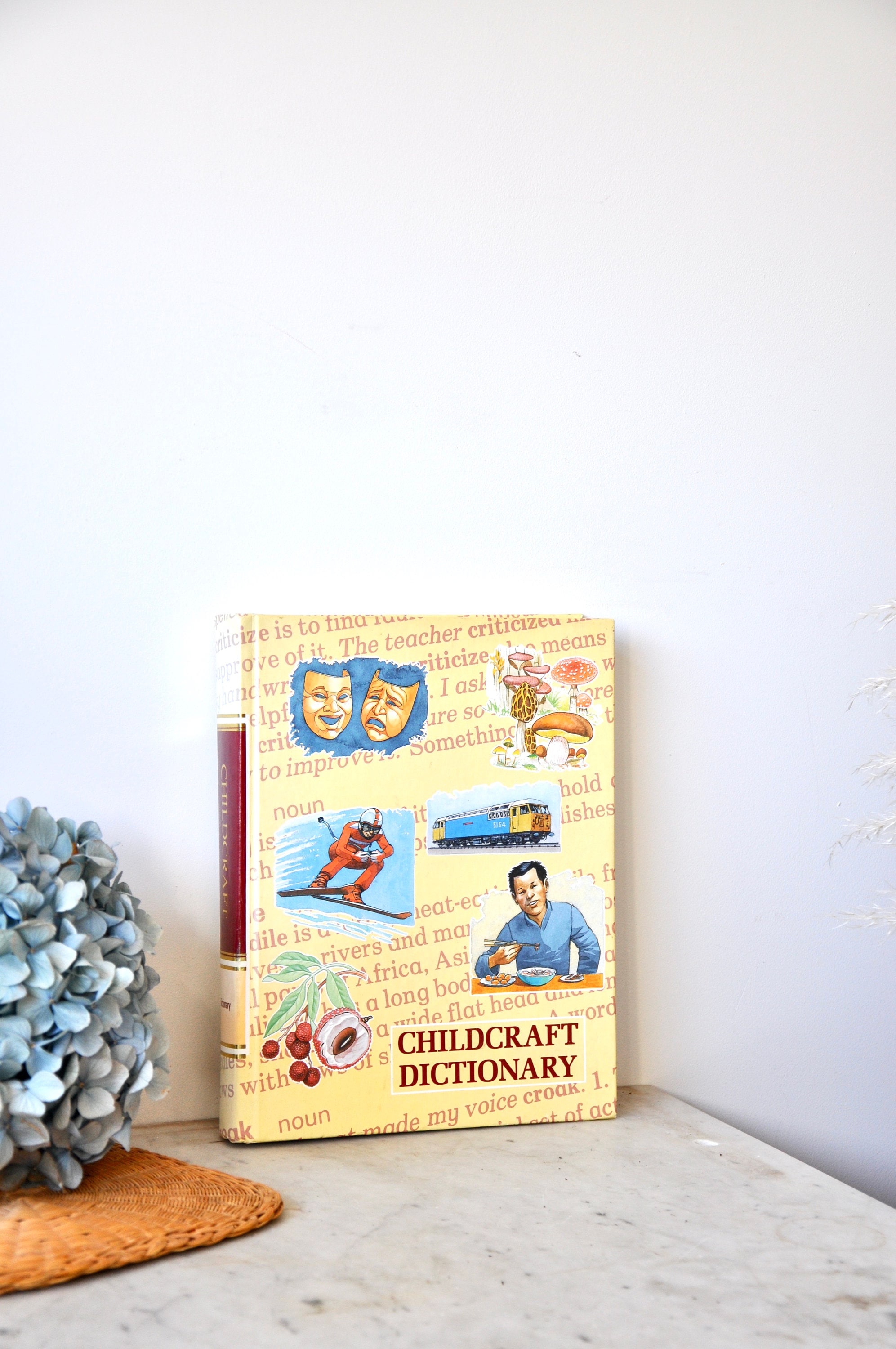 Vintage Childcraft Children's Illustrated Dictionary Hardback Book - Etsy