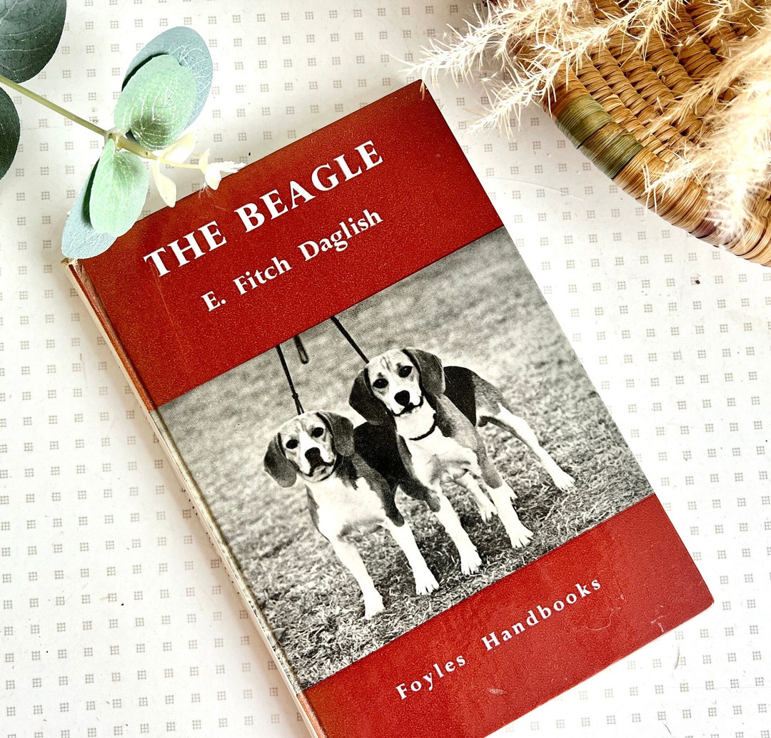 The Beagle by E. Fitch Daglish Foyles Handbooks Vintage Book About Dogs ...