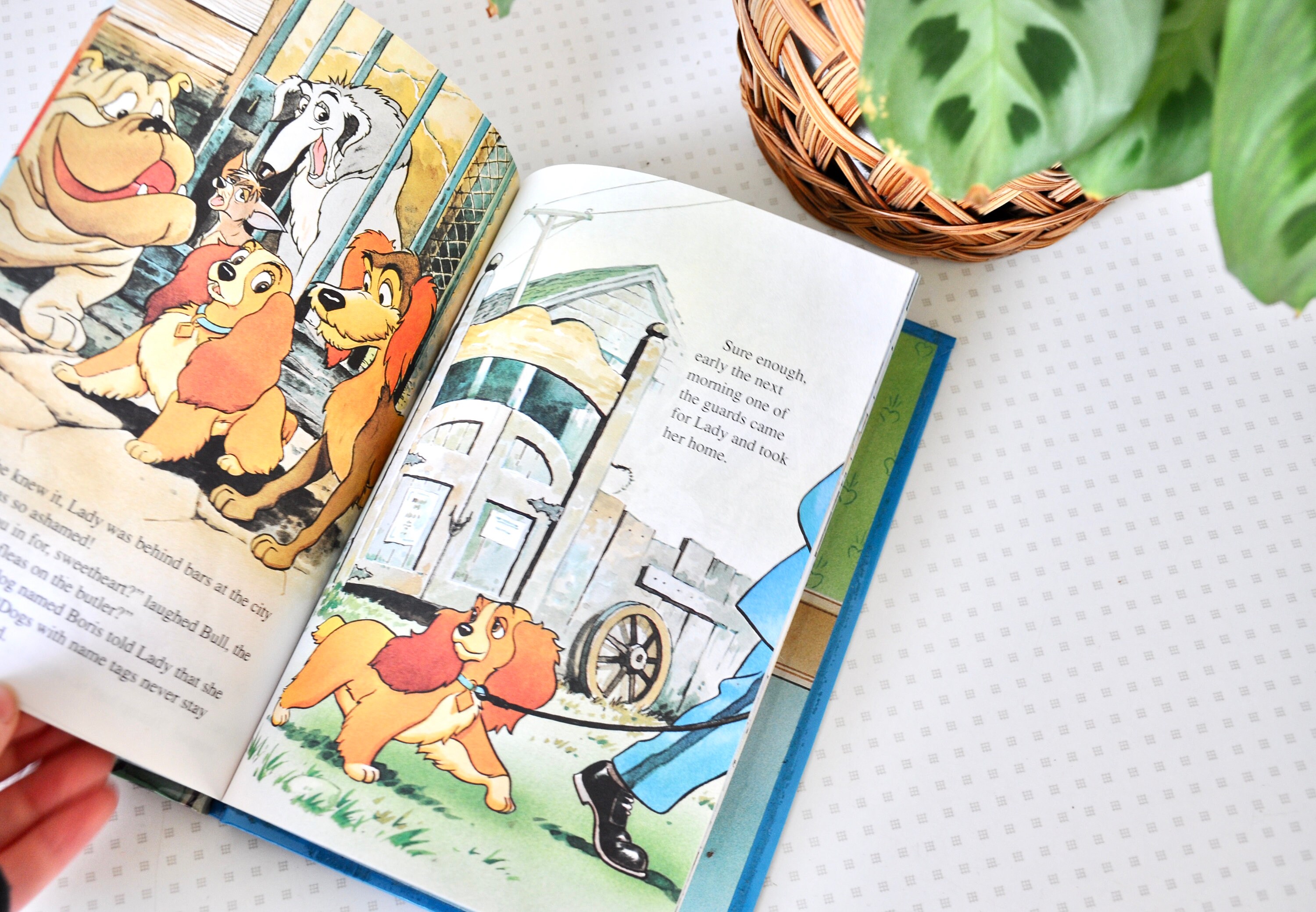 Vintage Walt Disney Lady and the Tramp Book 1994 - Etsy