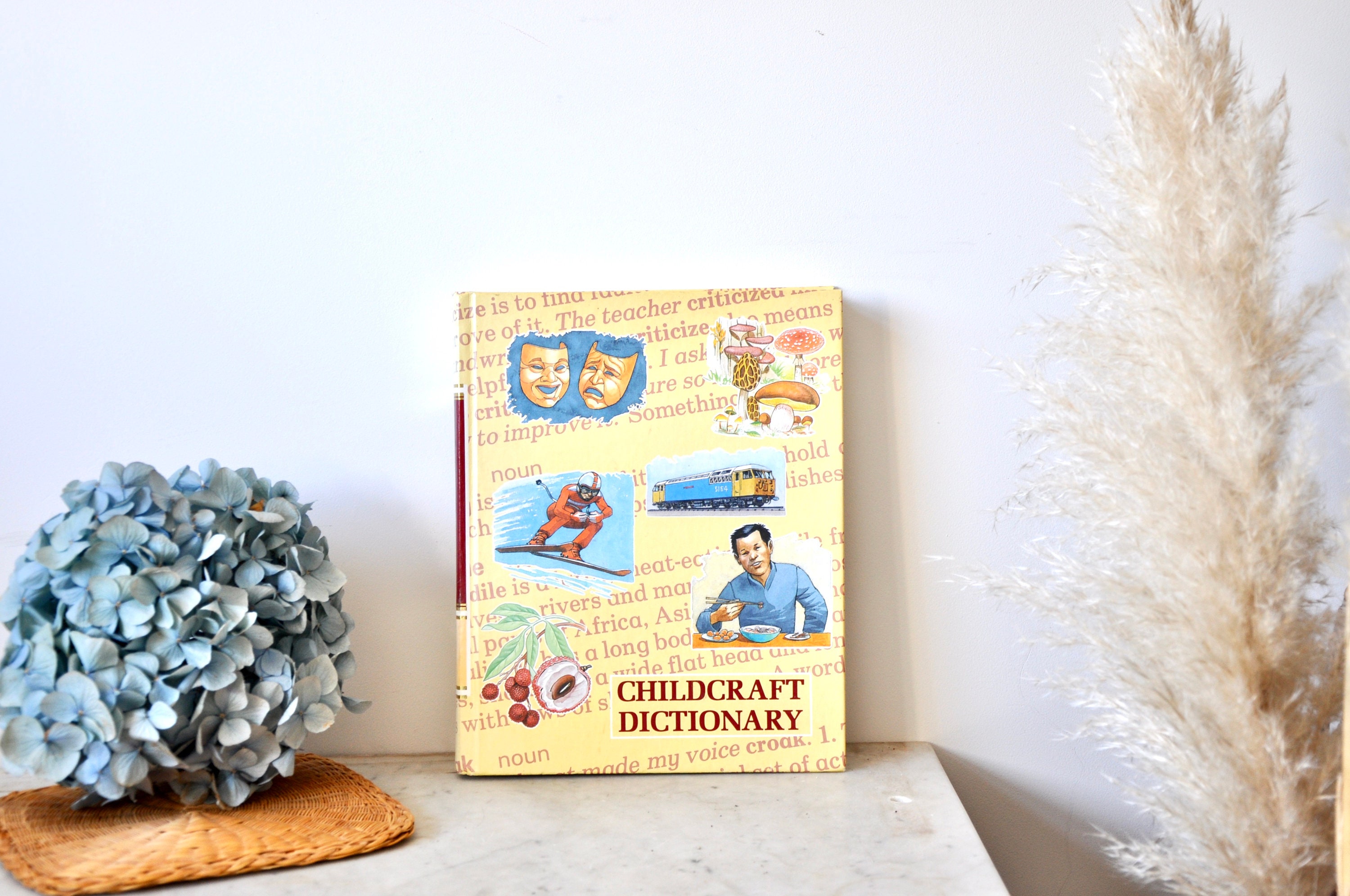 Vintage Childcraft Children's Illustrated Dictionary Hardback Book - Etsy