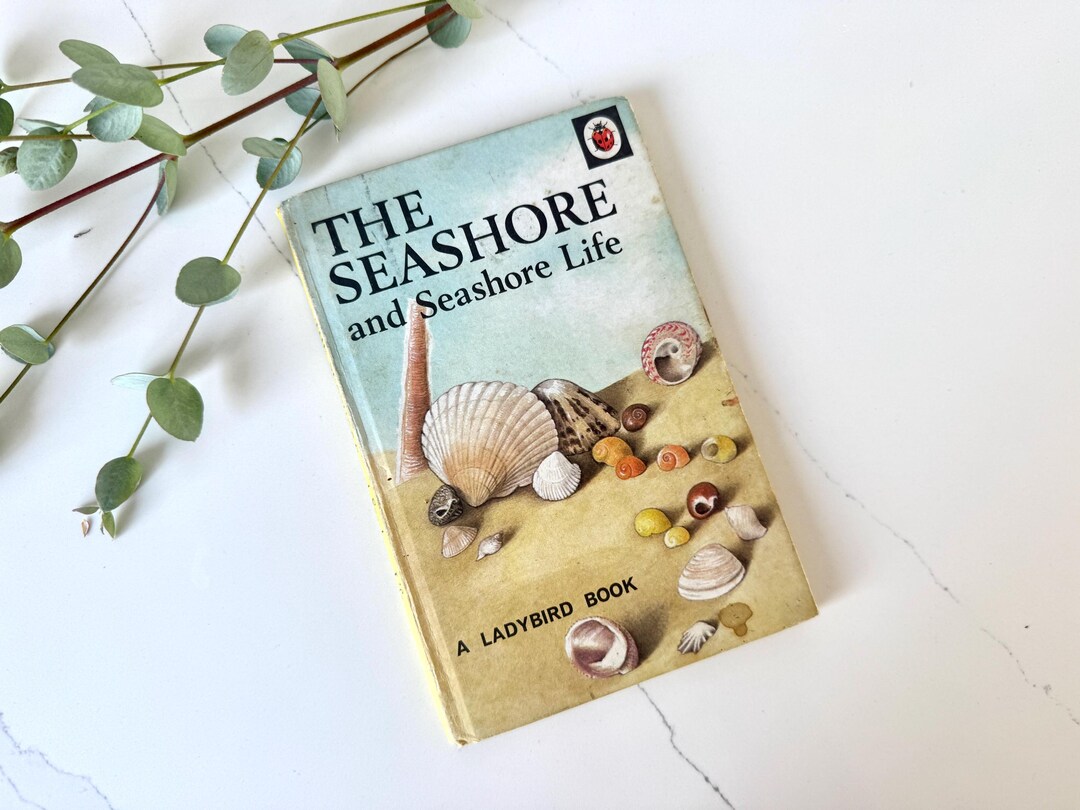 Vintage Ladybird the Seashore Book From 1964 - Etsy