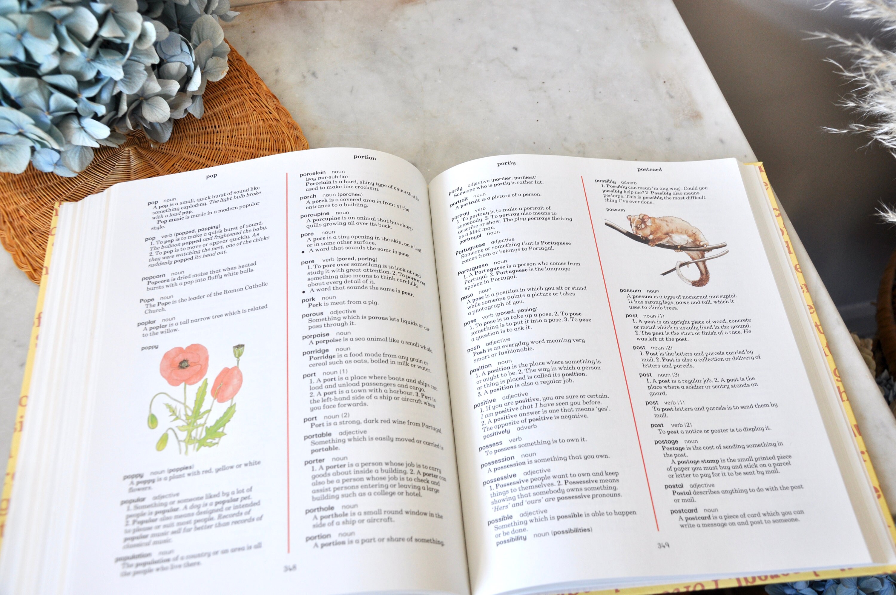 Vintage Childcraft Children's Illustrated Dictionary - Etsy