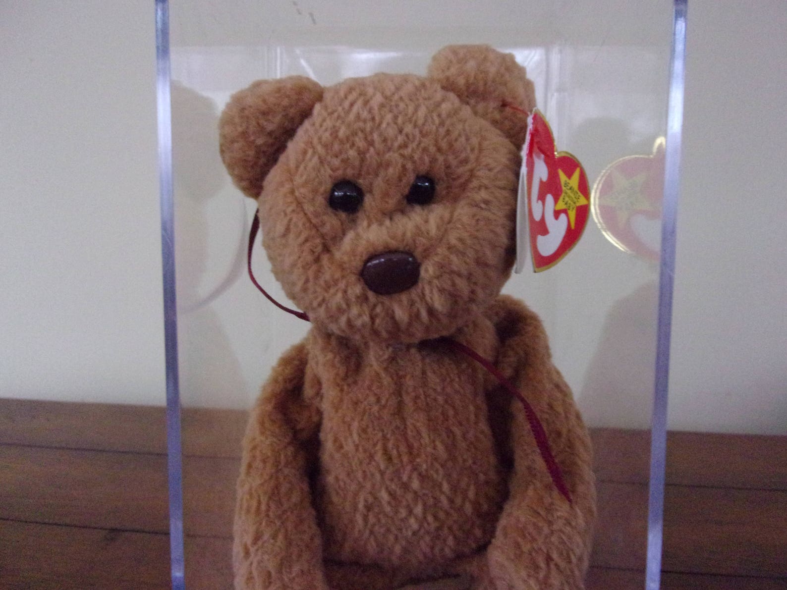 Curly the Bear Beanie Baby - Etsy