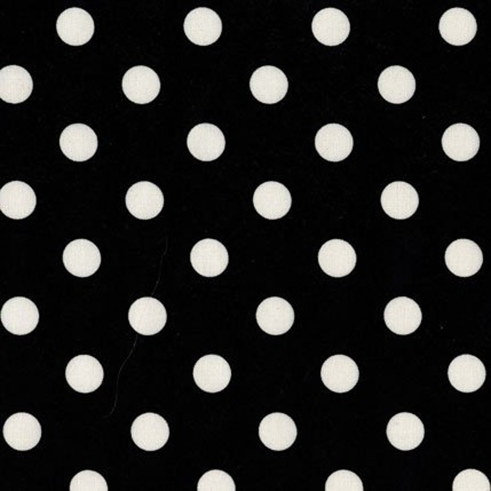 Polka Dot Fabric by the Yard That's It Dot Black With - Etsy