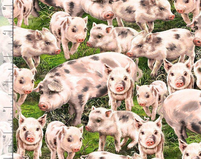 Pig Fabric, by the Yard, Farm Pigs, Timeless Treasures Fabric, C8338 ...