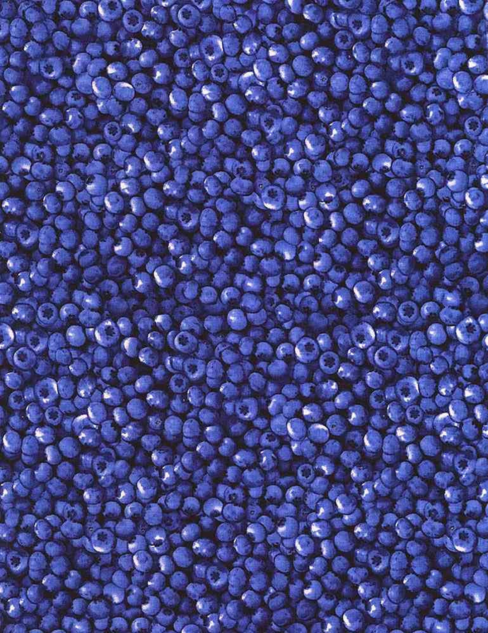 Blueberry Fabric by the Yard Packed Blueberries Timeless - Etsy