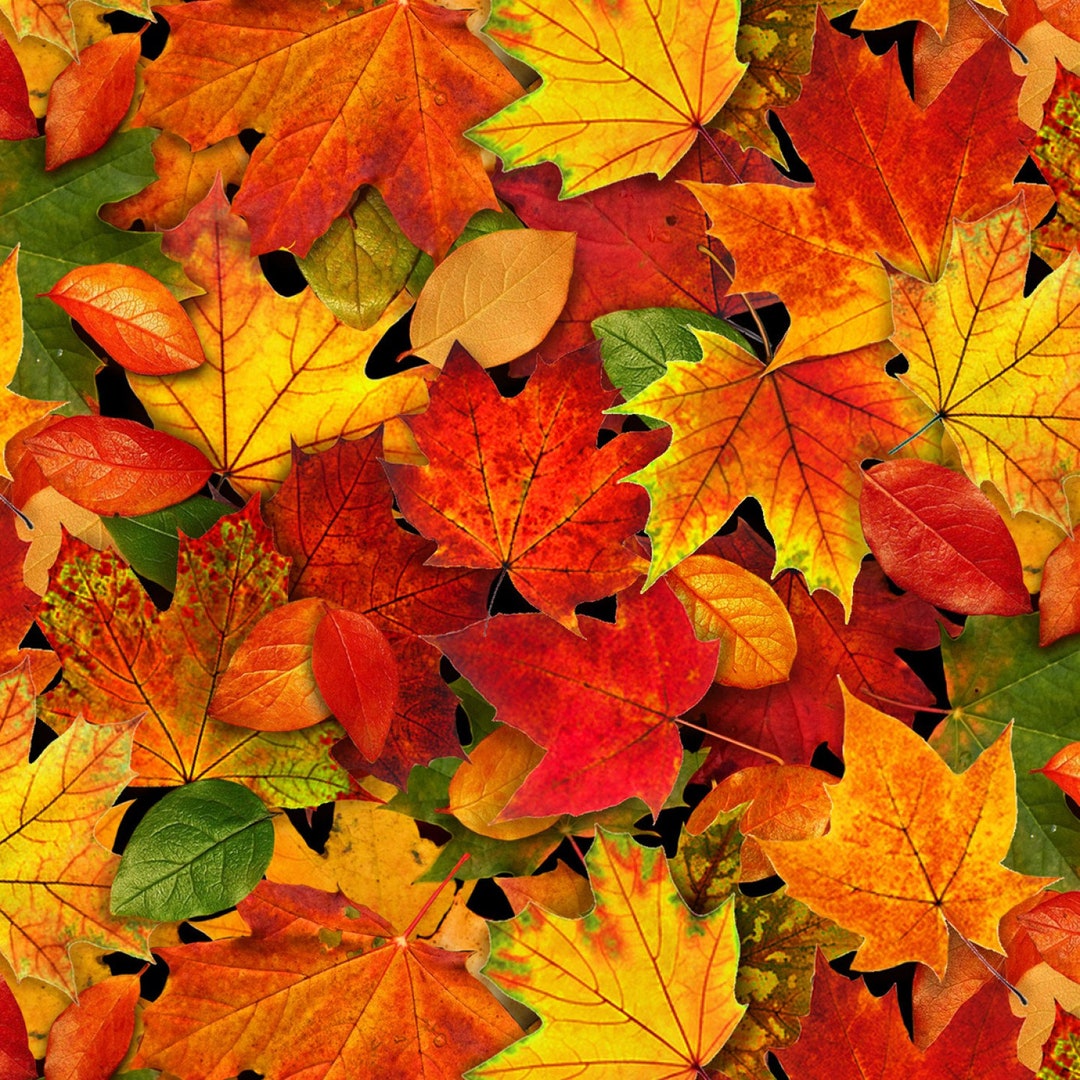 Fall Leaves Fabric by the Yard Multi Fall Leaves - Etsy