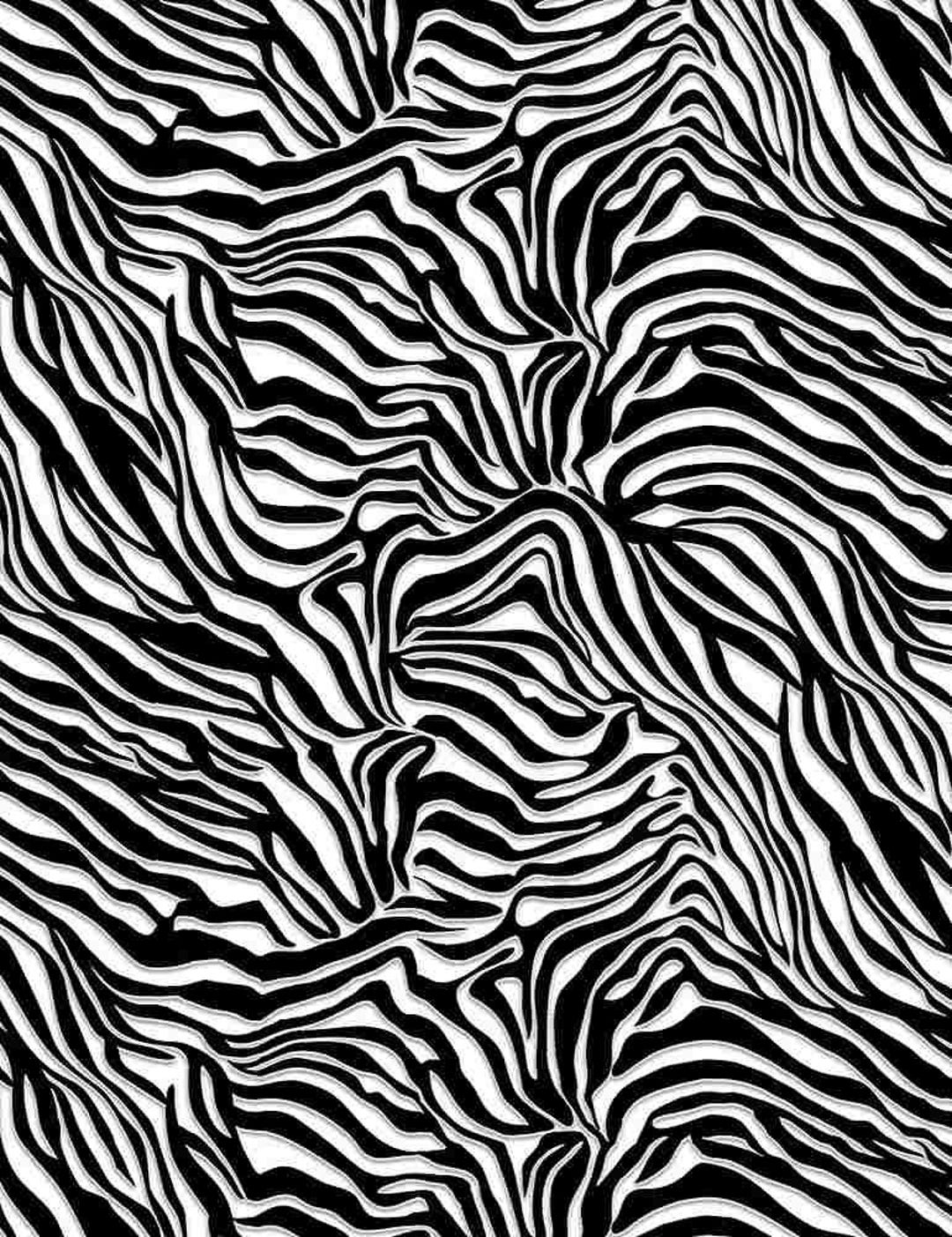 Zebra Fabric by the Yard, Zebra Stripes, Timeless Treasures C8911 ...