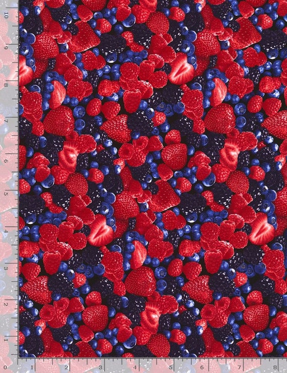 Fruit Fabric by the Yard Berries Fabric Timeless Treasures | Etsy
