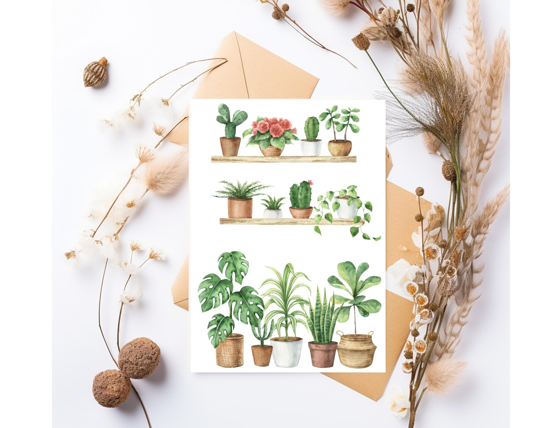 Plant Lover Card Printable Houseplant Printable Greeting Card for House ...