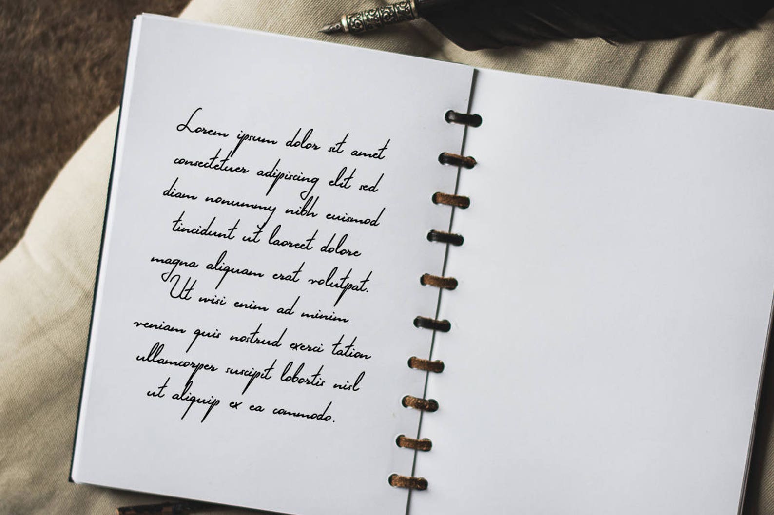 FERN Whisper-classy Signature Font,handwritten Font,script,typeface ...