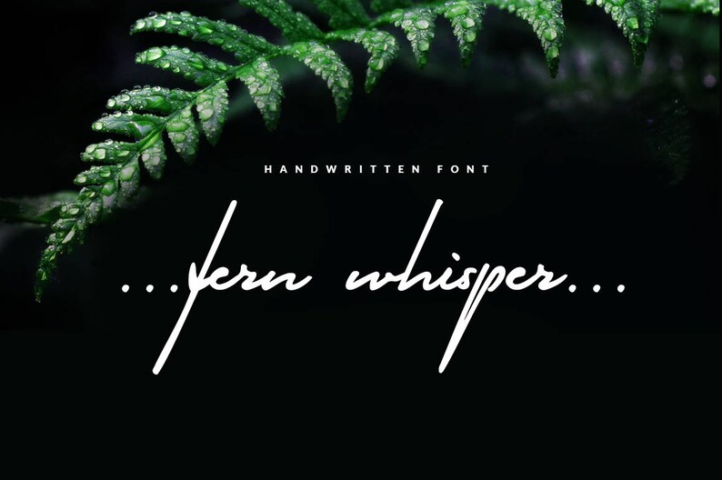 FERN Whisper-classy Signature Font,handwritten Font,script,typeface ...