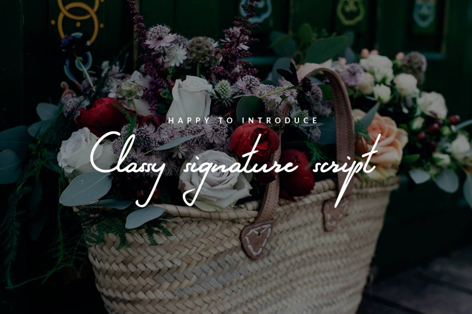 FERN Whisper-classy Signature Font,handwritten Font,script,typeface ...