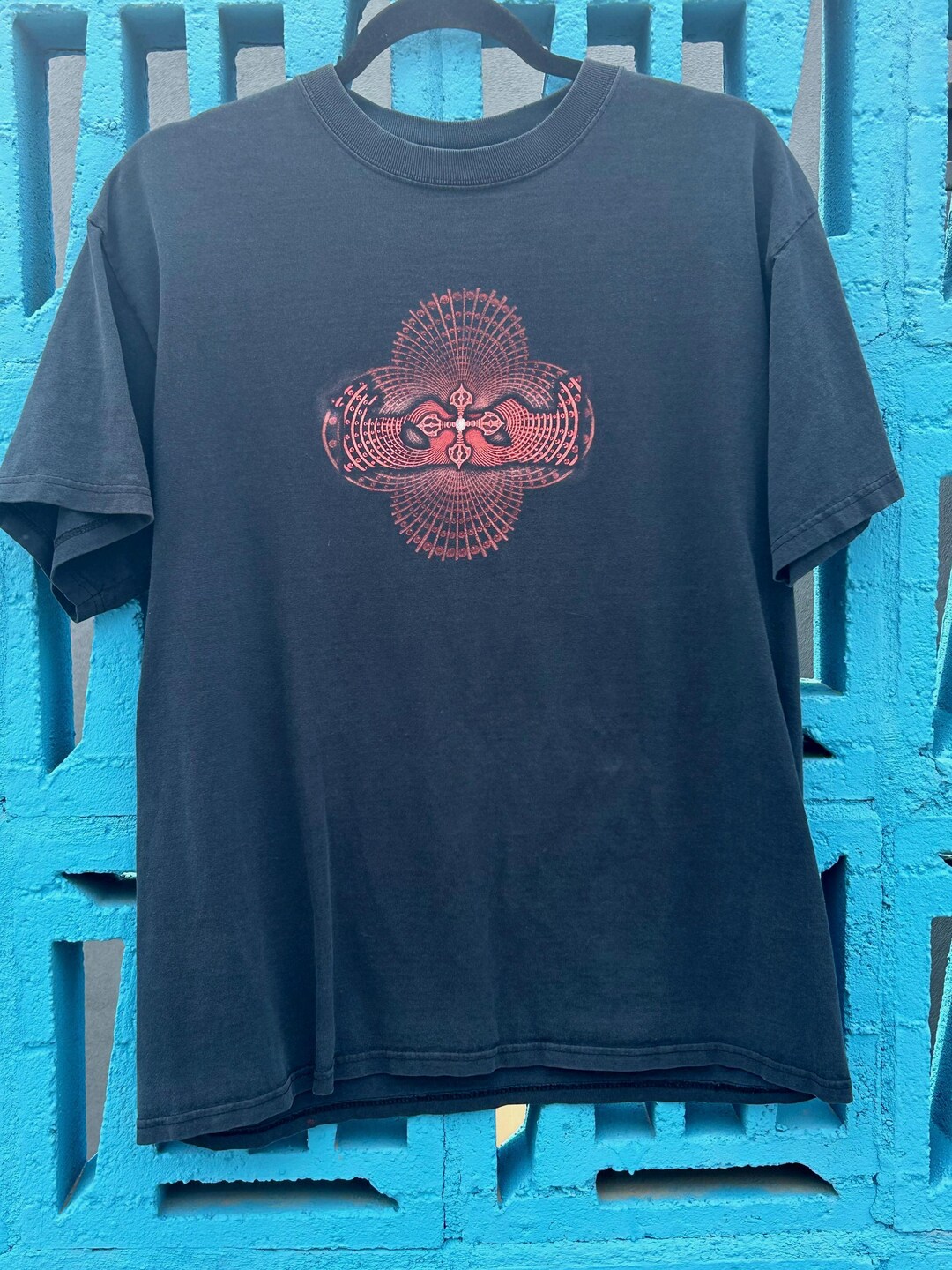 Vintage Tool 2002 Lateralus Tour T Shirt L/XL - Etsy