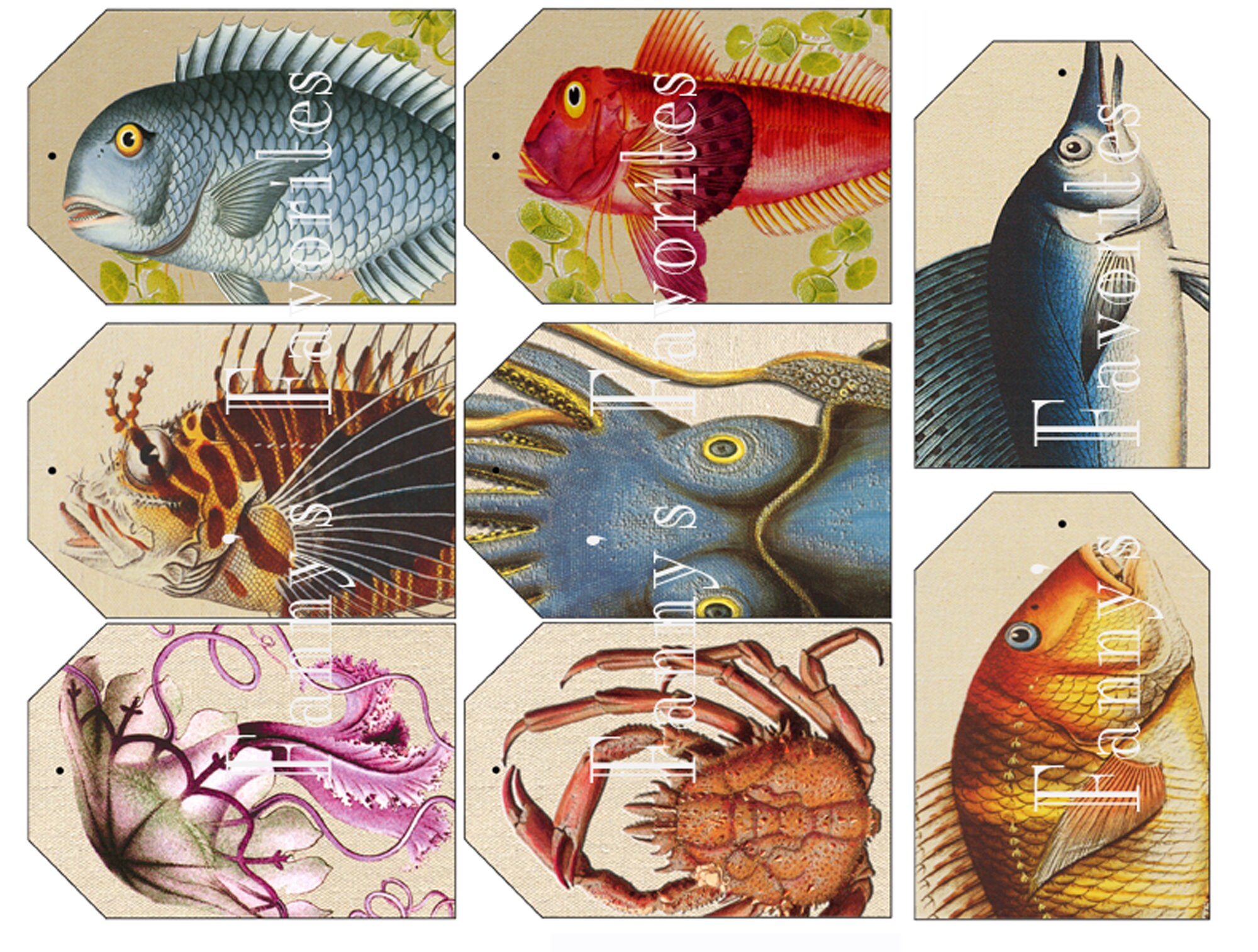 Instant Download Beach, Sea, Fish, Ocean Gift Tags Printable - Etsy