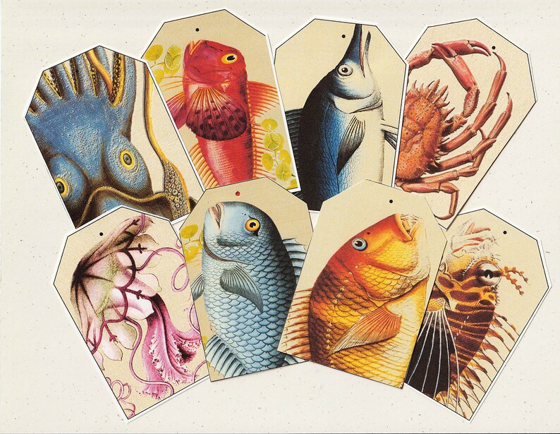 Instant Download Beach, Sea, Fish, Ocean Gift Tags Printable - Etsy