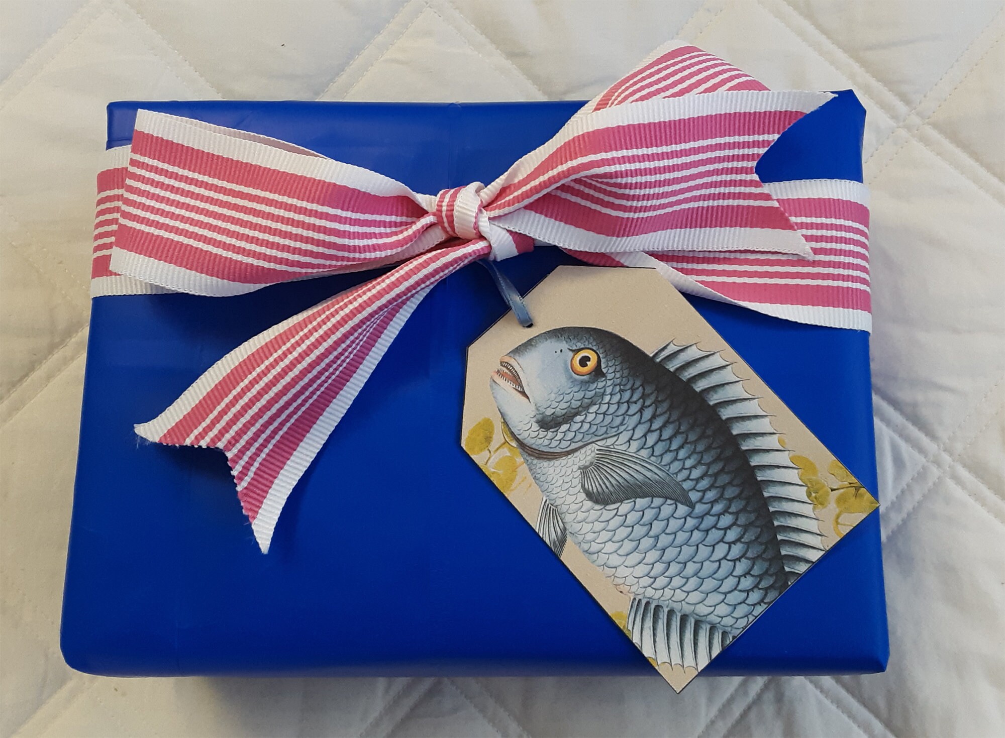 Instant Download Beach, Sea, Fish, Ocean Gift Tags Printable - Etsy