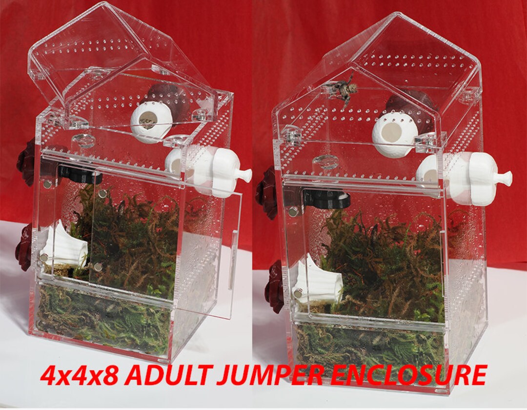 4x4x8 Clear Rooftop Style Arboreal Enclosure house - Etsy