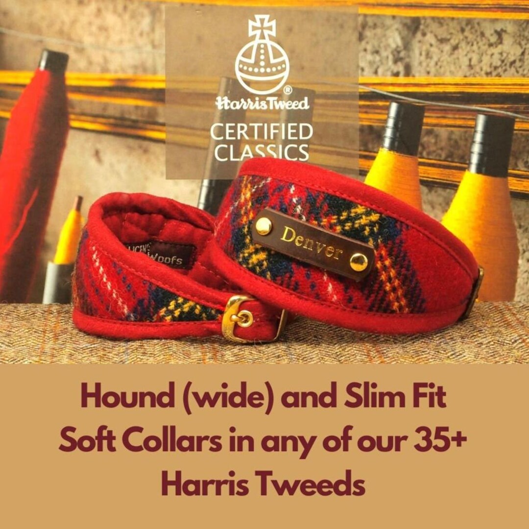 Harris Tweed Personalised Hound Collar Greyhound Whippet Saluki or Slim ...