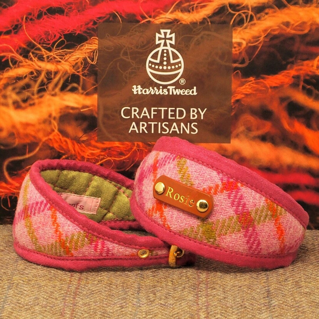 HARRIS TWEED Dog Collar, Sighthound or Slim Fit With Quilted, Padded ...