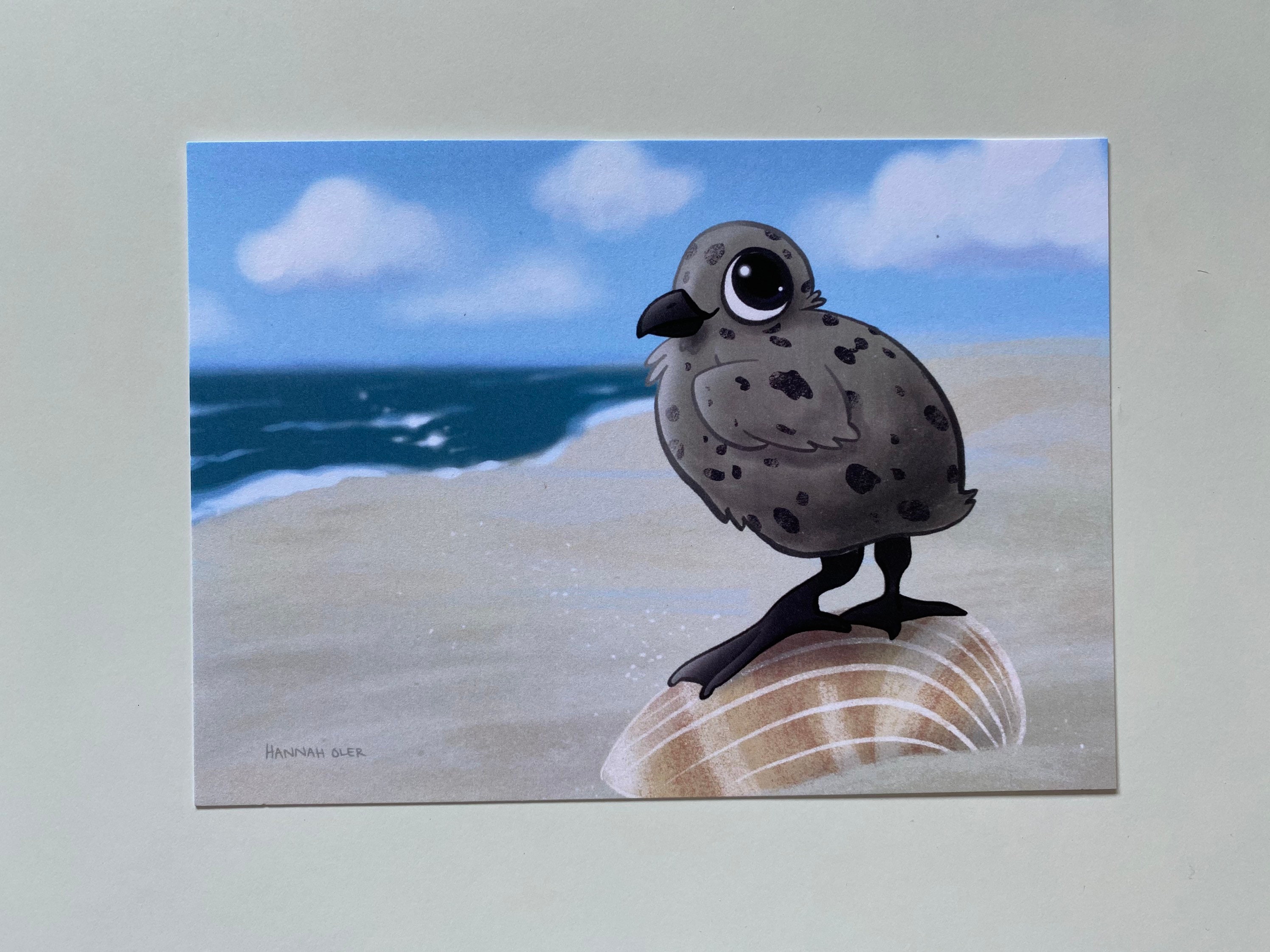 Baby Seagull Cute