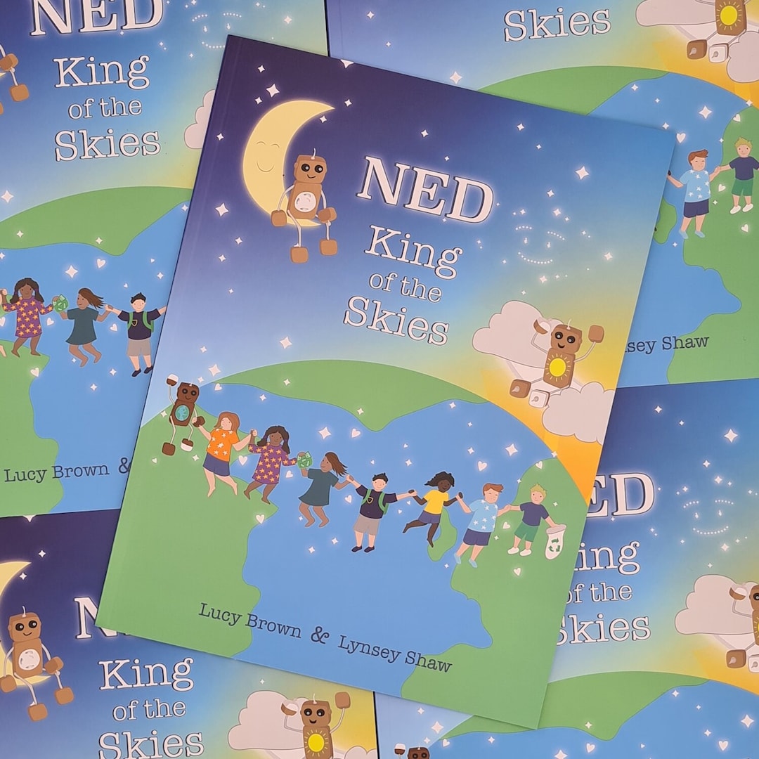 Ned King of the Skies: Children's Eco-friendly Self-published Adventure ...