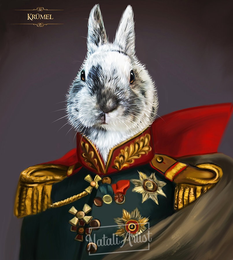 Custom Royal Pet Portrait Digital Funny Rabbit Rabbit | Etsy