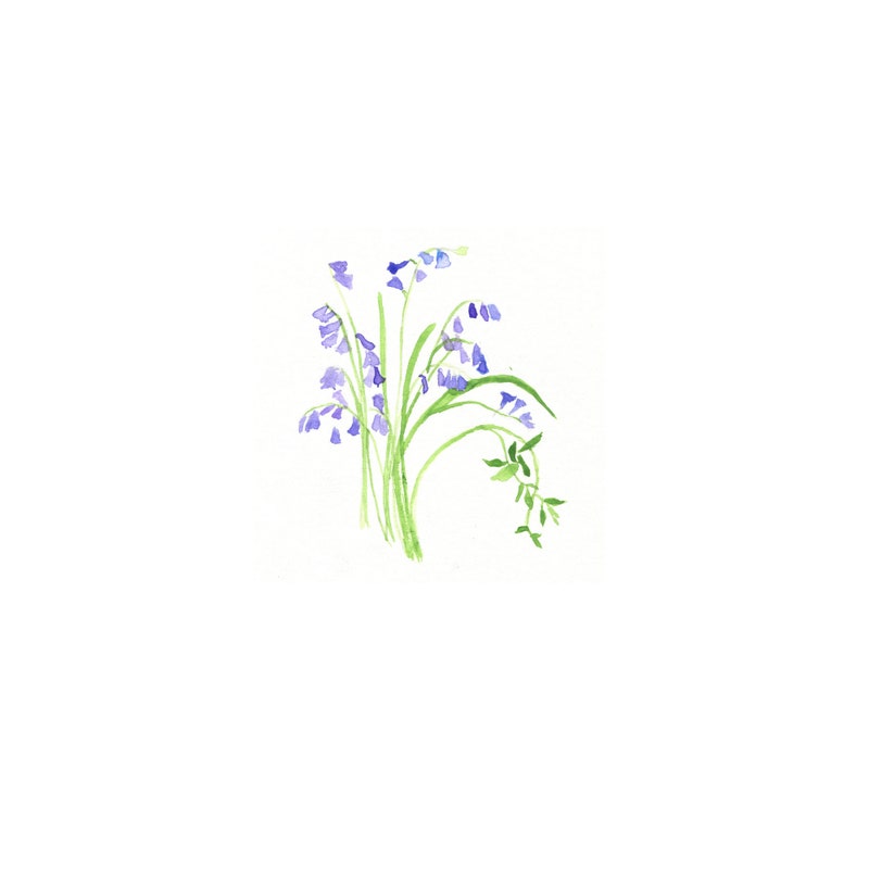 Blue Bell - Etsy