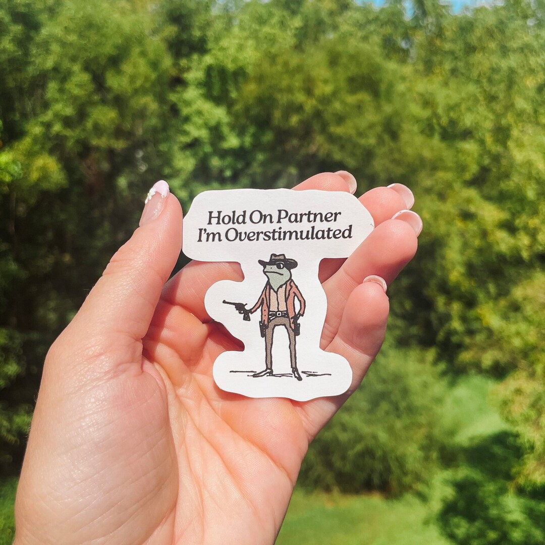 Hold on Im Overstimulated Sticker Cowboy Frog Sticker Unhinged Sticker ...