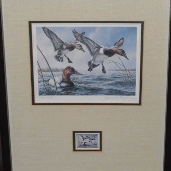 Duck Stamp Frame - Etsy