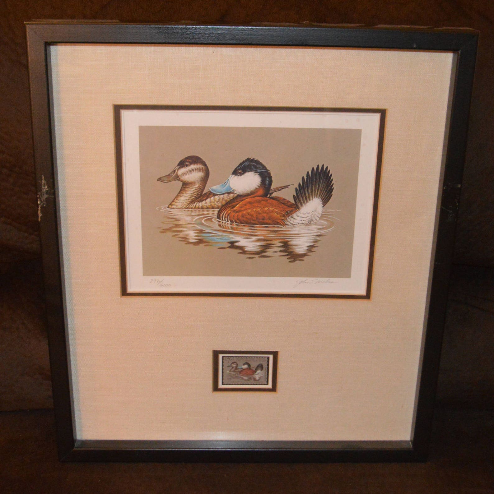 1981 Federal Duck Stamp Framed Print Ruddy Duck by John S. Wilson - Etsy