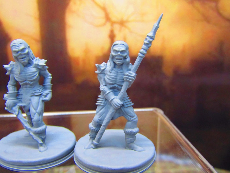 Pair of Barrow Wight Ghost Warriors Encounter Mini Miniature - Etsy