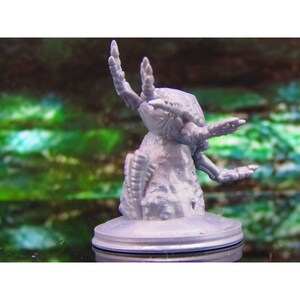 Undead Underwater Skeleton Sea Turtle Pose A Mini Miniature Model ...