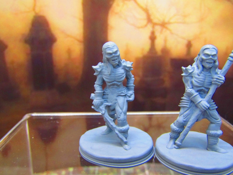 Pair of Barrow Wight Ghost Warriors Encounter Mini Miniature - Etsy