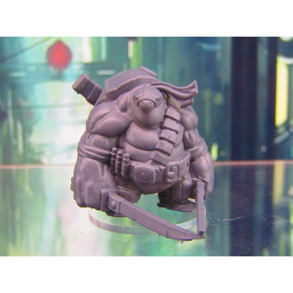 Ninja Turtle Model - Etsy