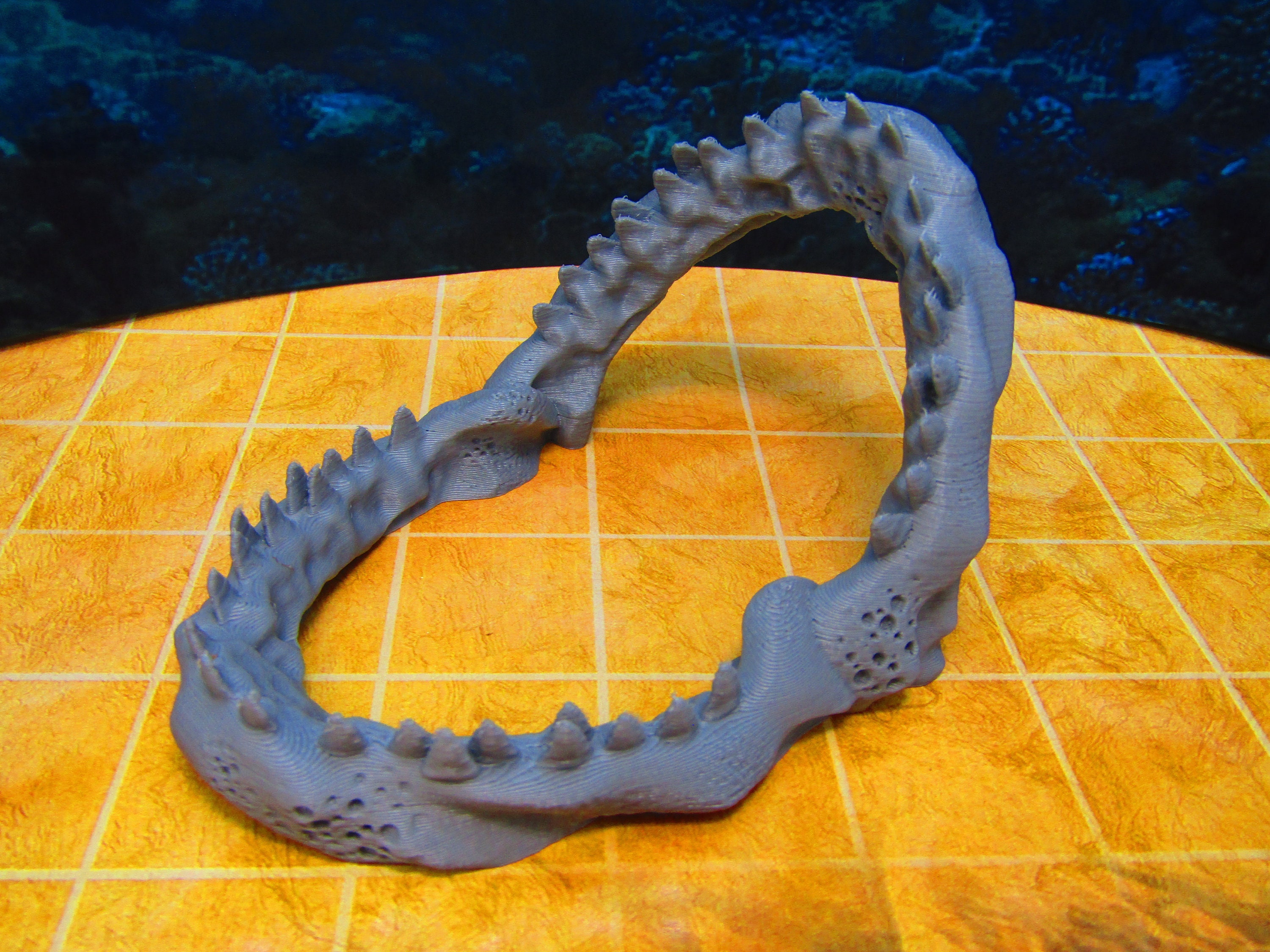 Megalodon Shark Jaw Sea Monster Maw Teeth Boneyard Scenery | Etsy